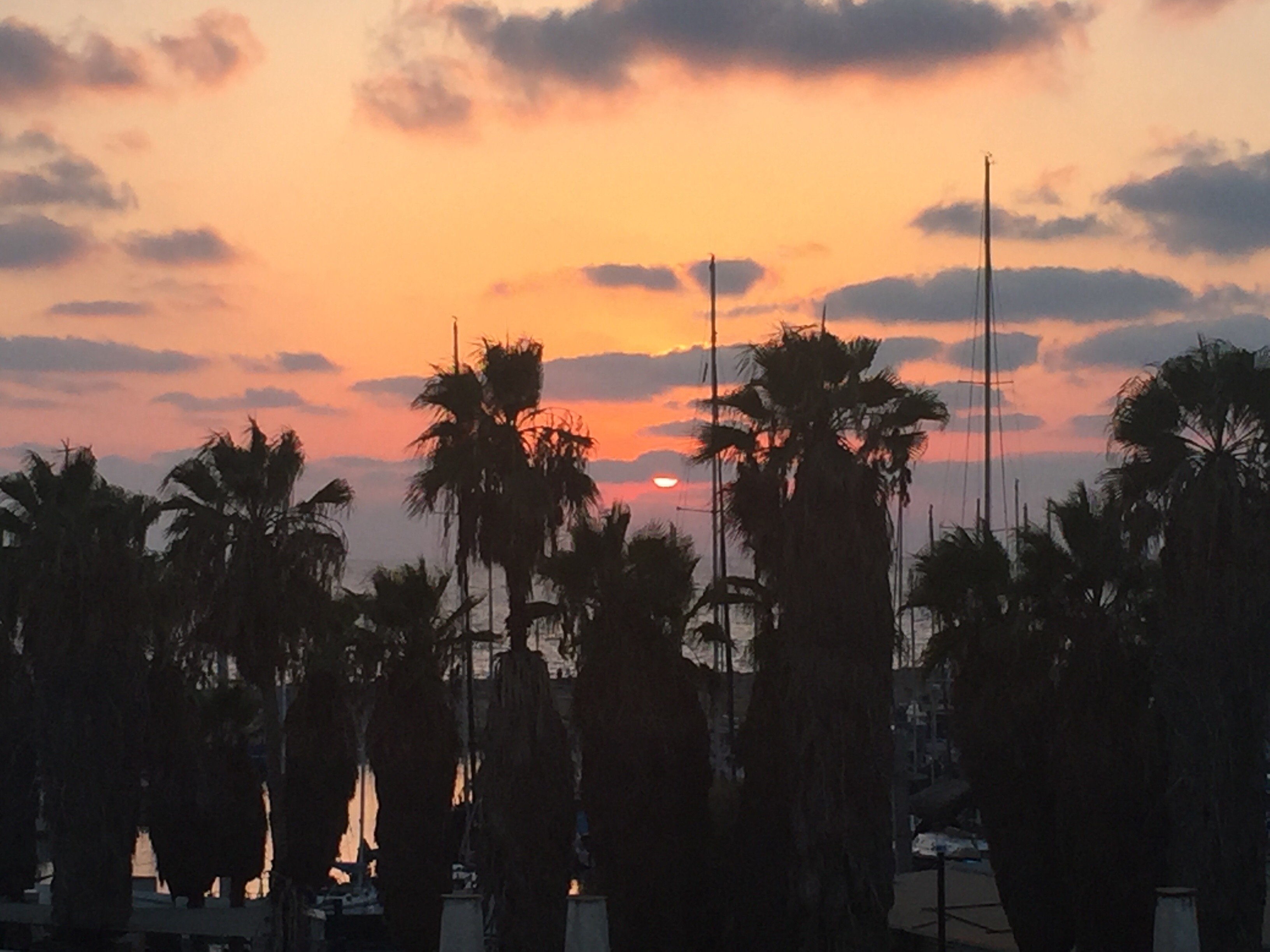 Miami in Tel Aviv – Writing at Large