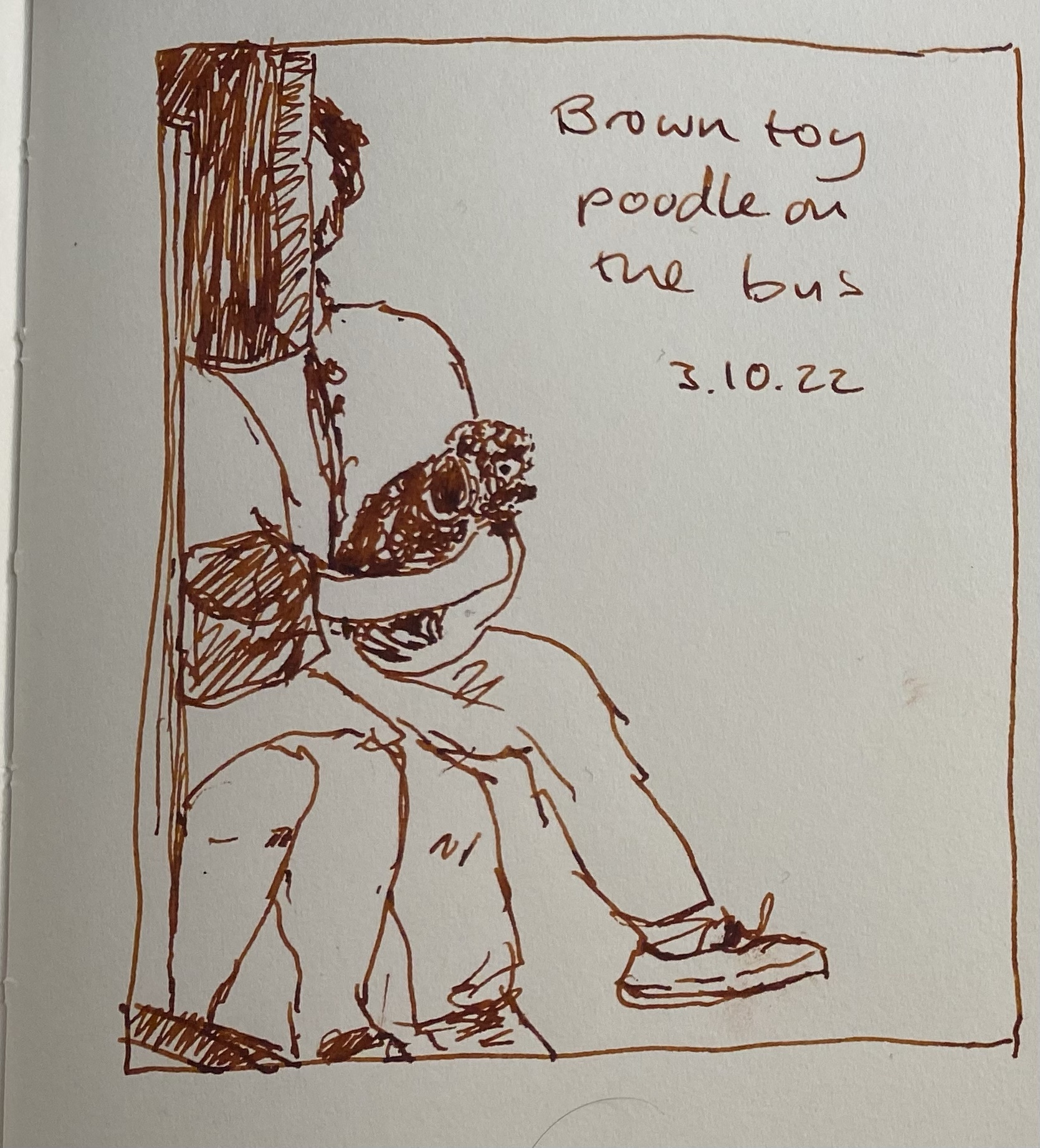 Inktober Day 3: Toy Poodle on a Bus – Writing at Large