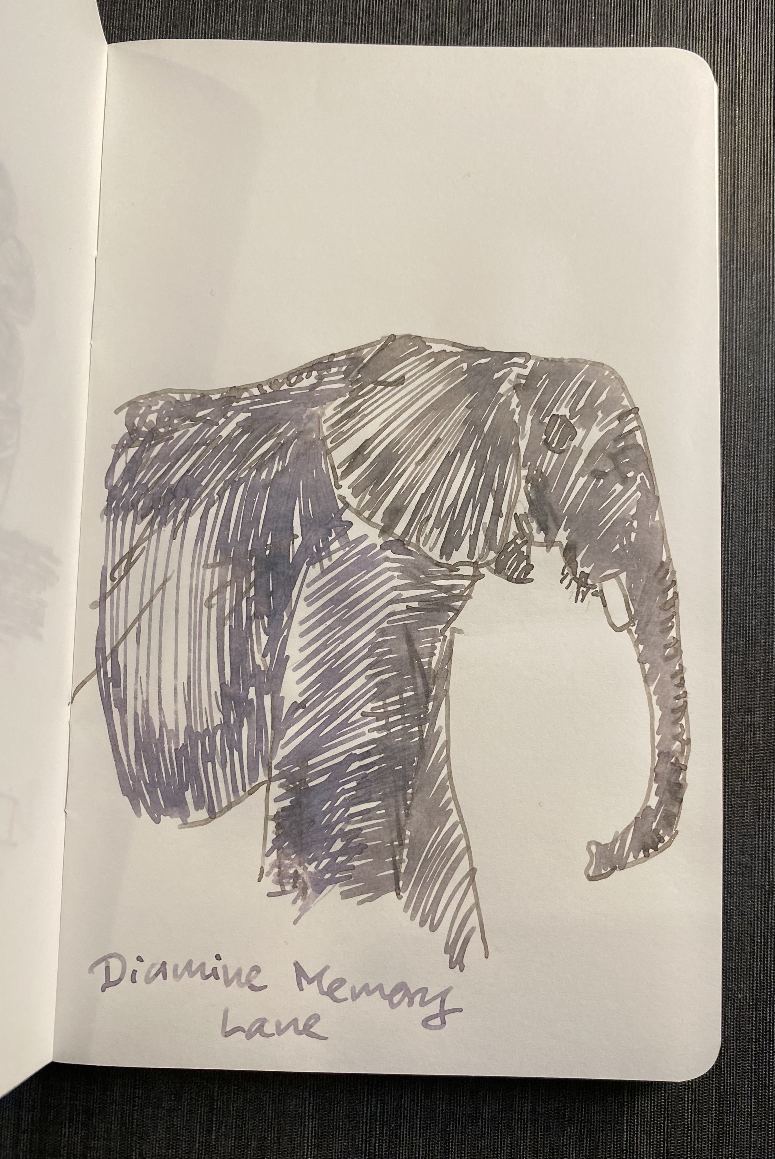 Diamine Inkvent 2022 Day 12: Memory Lane – Writing at Large