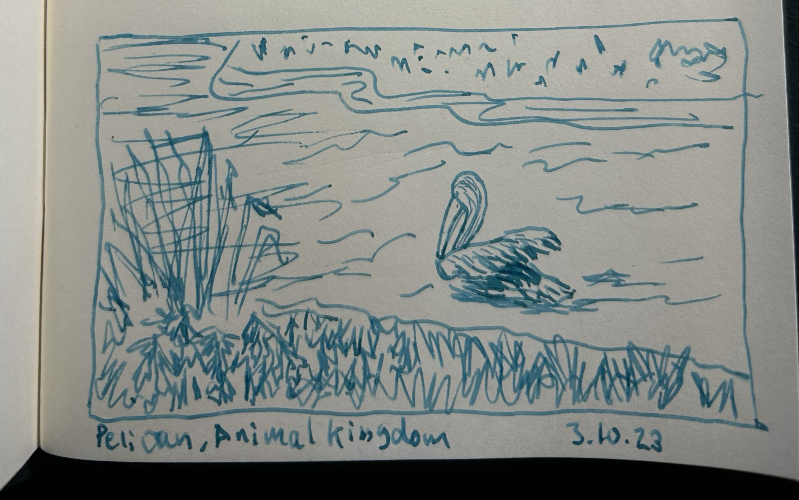Inktober 2023 Day 3: Turquoise Pelican – Writing at Large