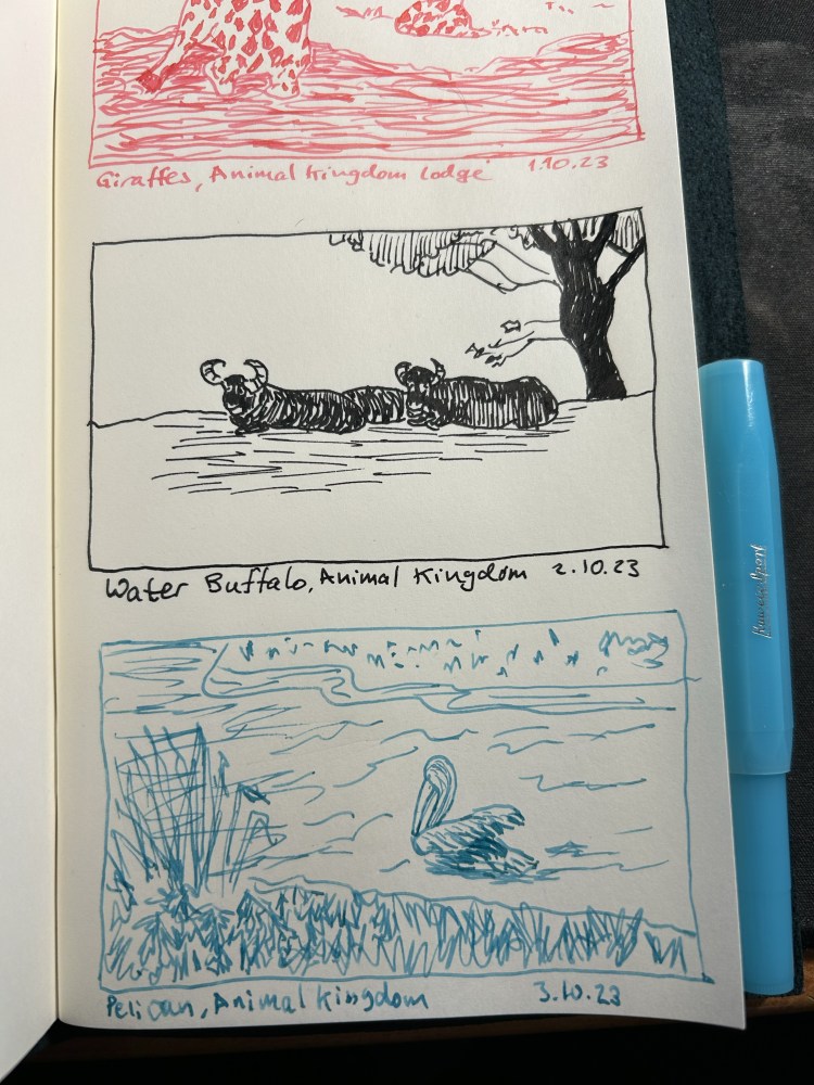 Inktober 2023 Day 3: Turquoise Pelican – Writing at Large