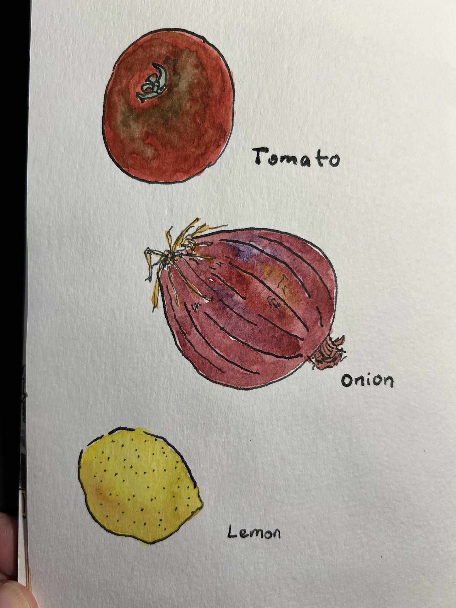 Dip Pens Part 2: Ink and Watercolour – Writing at Large