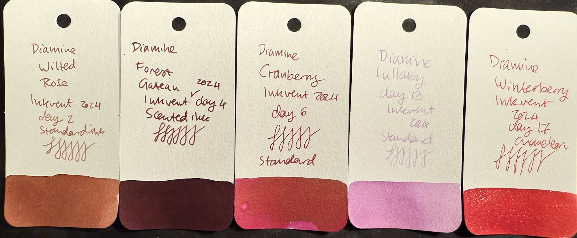 Diamine Inkvent 2024 Summary – Writing at Large