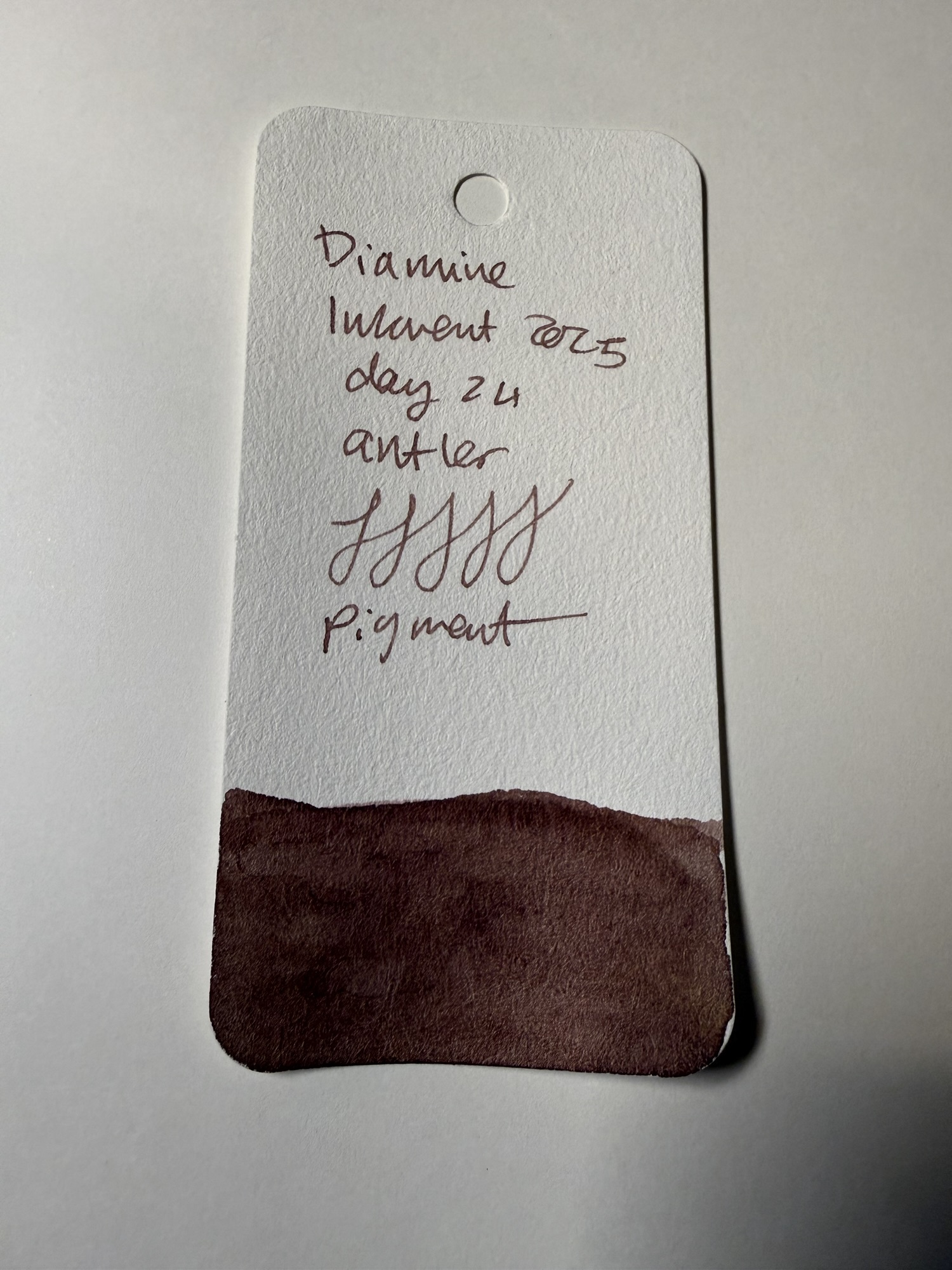 Diamine Inkvent 2025 Day 24 – Writing at Large